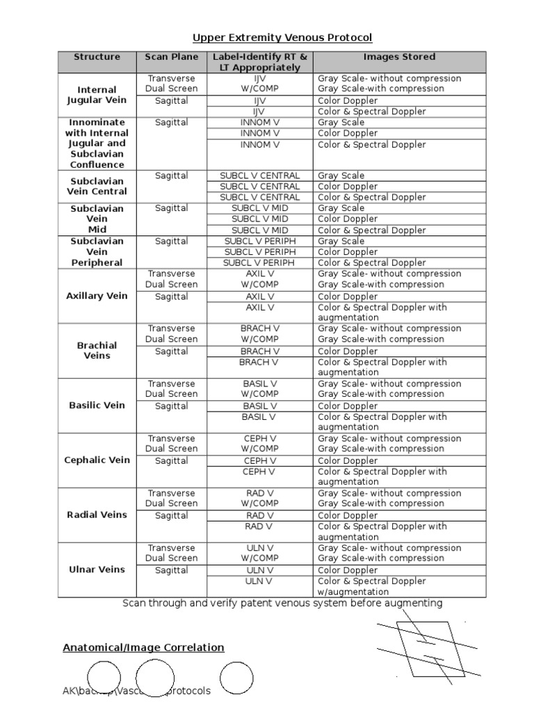 upper extremity venous protocol 14 | Vein | Anatomical Terms Of Location