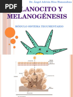 Escala de Glogau | PDF