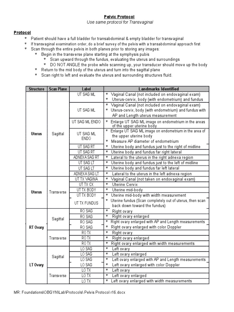 Female Pelvis Protocol r16 1 | PDF | Uterus | Urinary Bladder