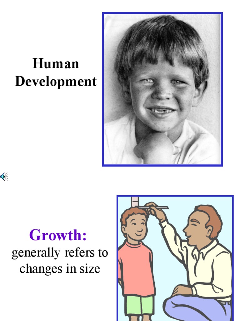 Human Development Stages | PDF | Infants | Developmental Psychology