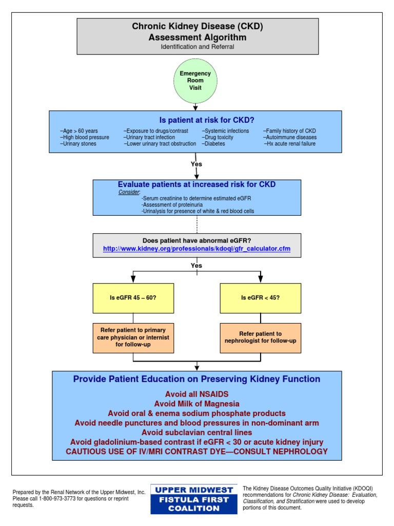 Chronic Kidney Disease (CKD) Assessment Algorithm: Is Patient at Risk ...