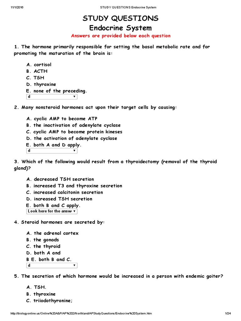 Endocrine System Study Questions | PDF | Endocrine System | Hormone