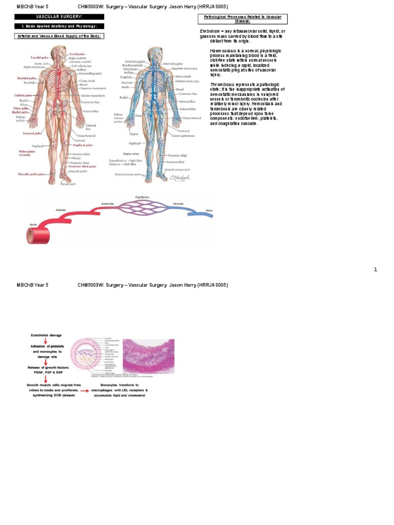 General Surgery Notes - Vascular Surgery | Thrombosis | Ischemia