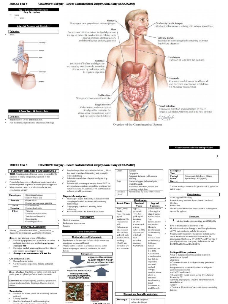 Lower GI Surgery Overview and Management | PDF | Peptic Ulcer ...