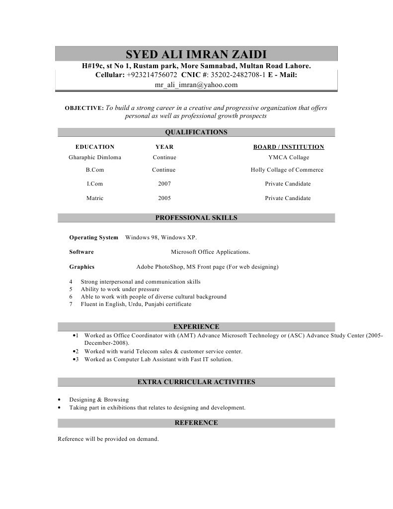 Syed Ali Imran Zaidi - Resume Overview | PDF