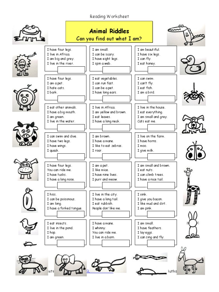 Animal Riddles: Can You Find Out What I Am? | PDF | Lion | Cats