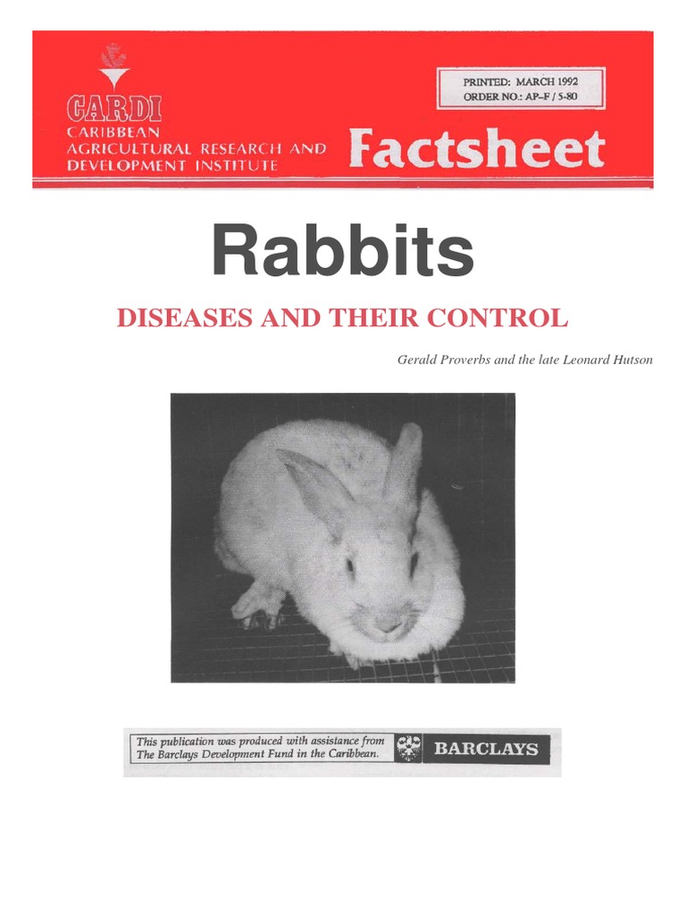Rabbits: Diseases and Their Control | Download Free PDF | Common Cold ...