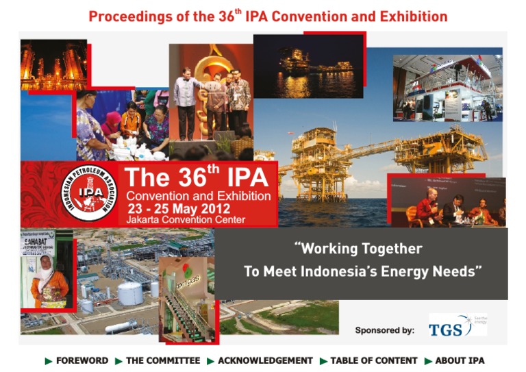 Ipa PDF | PDF | Technology & Engineering