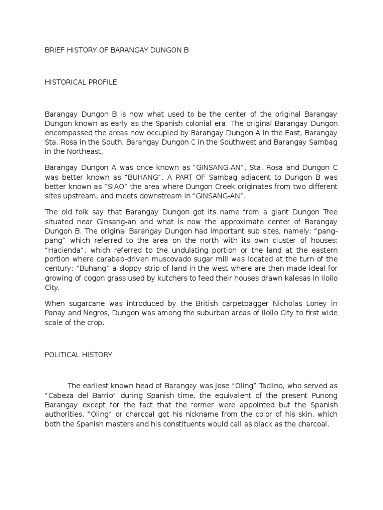 History of Barangay Dungon B | PDF | Philippines | Wellness