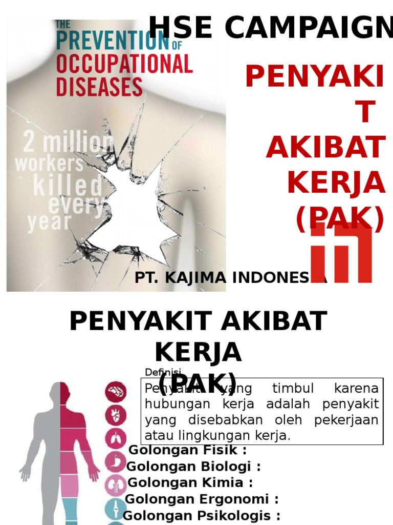 HSE Campaign PAK | PDF