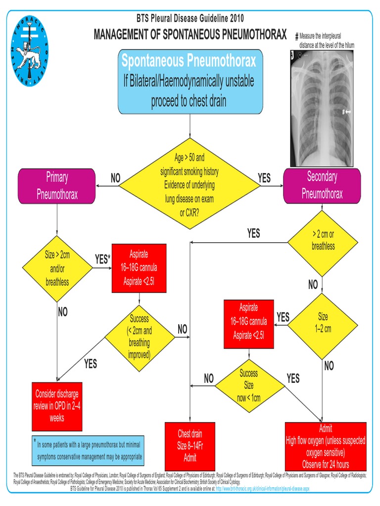 BTS Guidelines for Pneumothorax Management | PDF | Epidemiology ...