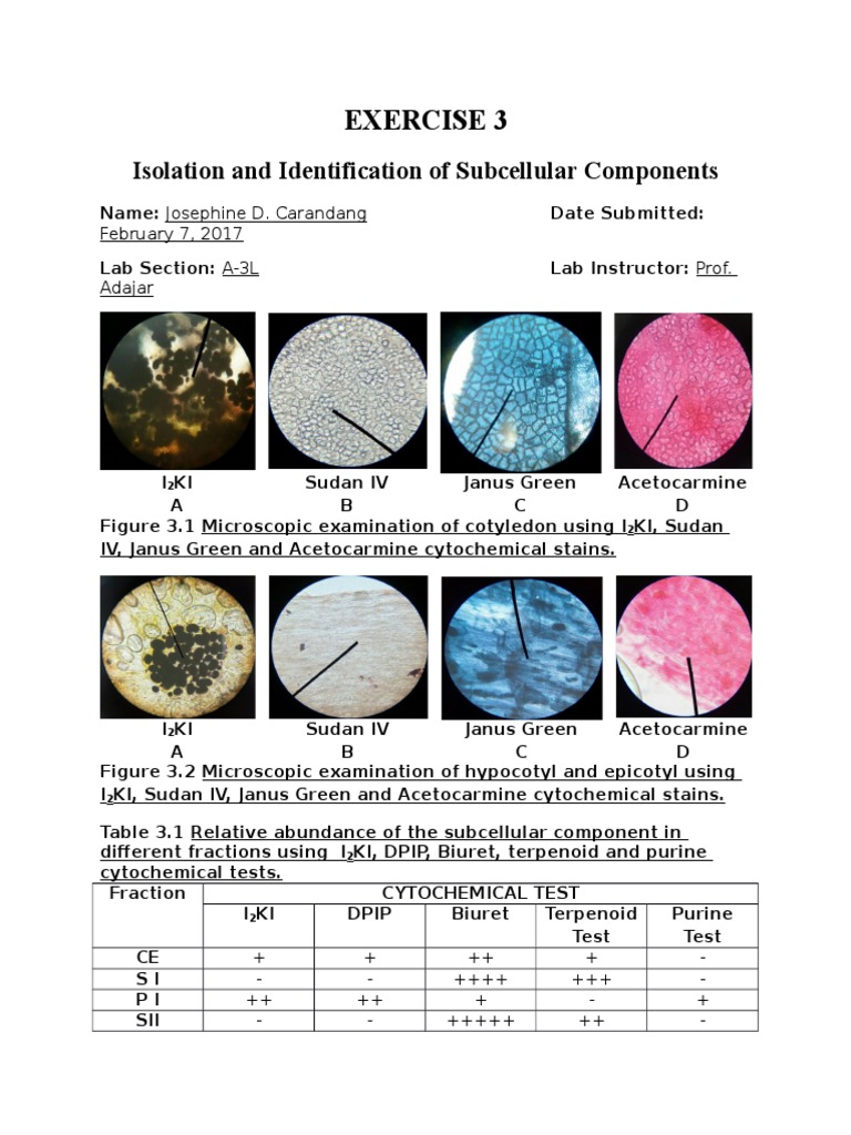 Exercise 3: Isolation and Identification of Subcellular Components ...