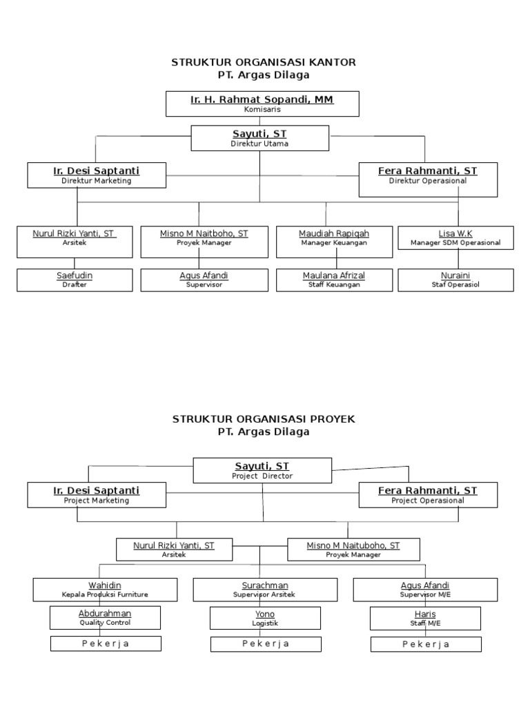 ORGANIZATIONAL STRUCTURES | PDF