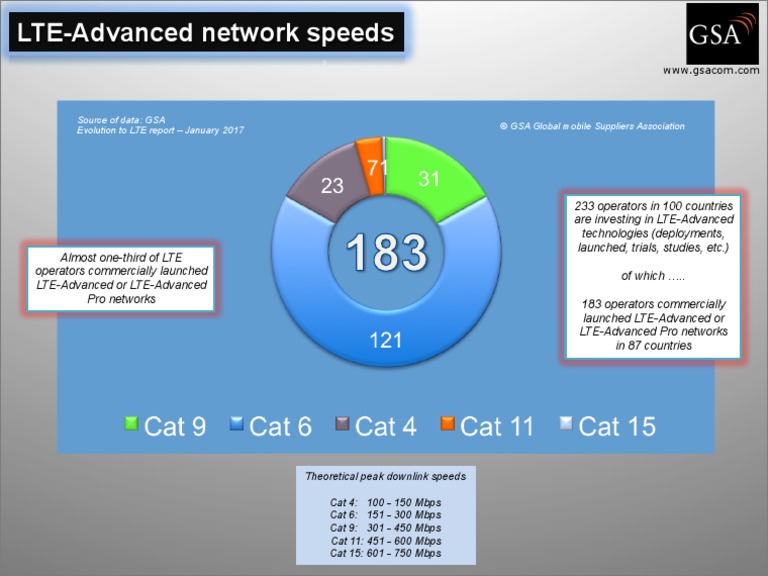 LTE Pie Chart | PDF