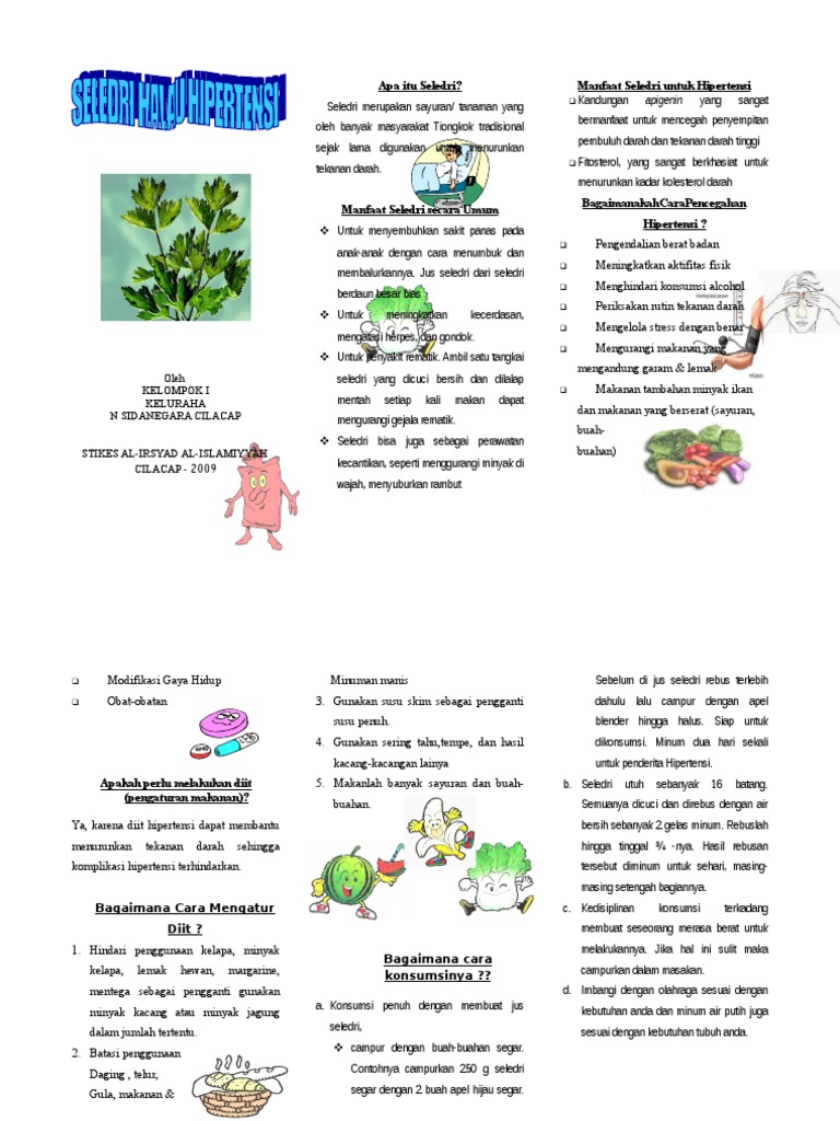 Leaflet SelEdri Utk HT | PDF