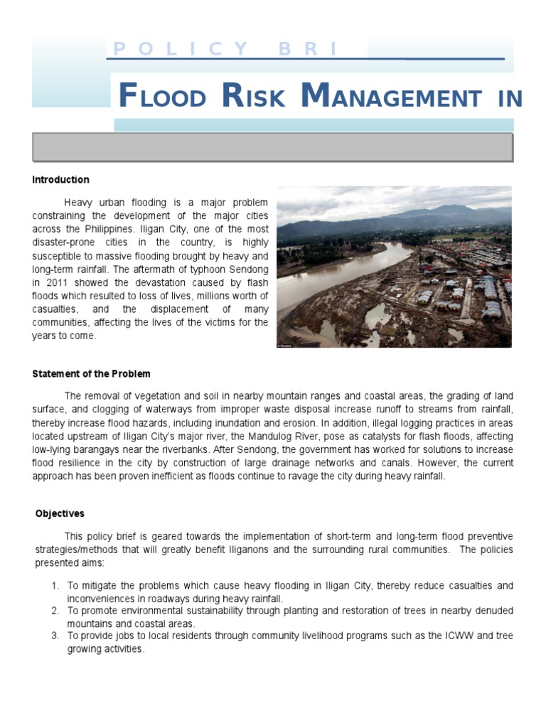 Flood Risk Management in Iligan City | PDF | Flood | Earth Sciences