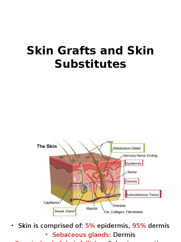 Skin Grafts and Skin Substitutes | PDF