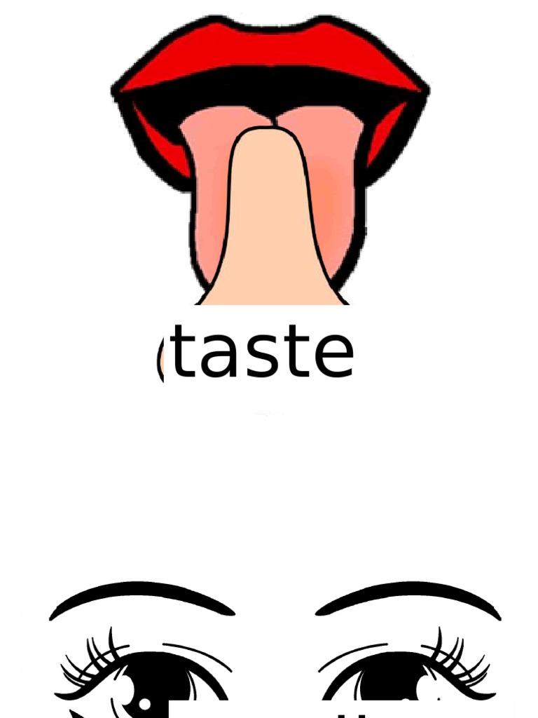 Five Senses Flashcards | PDF