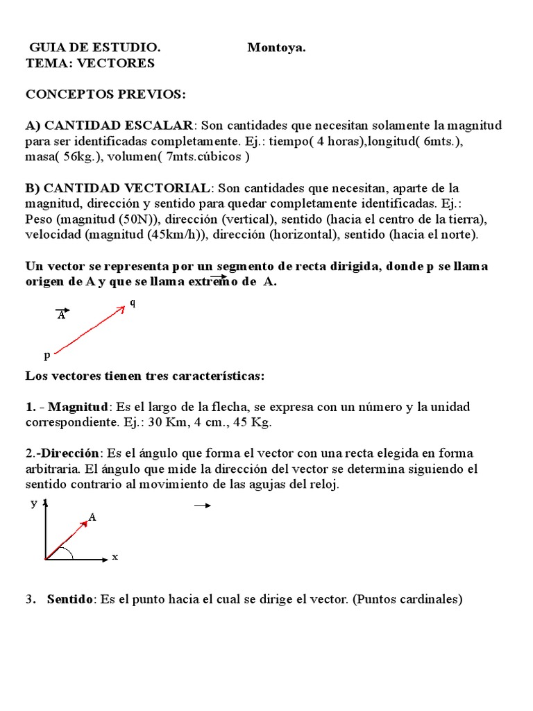 Guía completa sobre vectores: conceptos básicos, operaciones ...