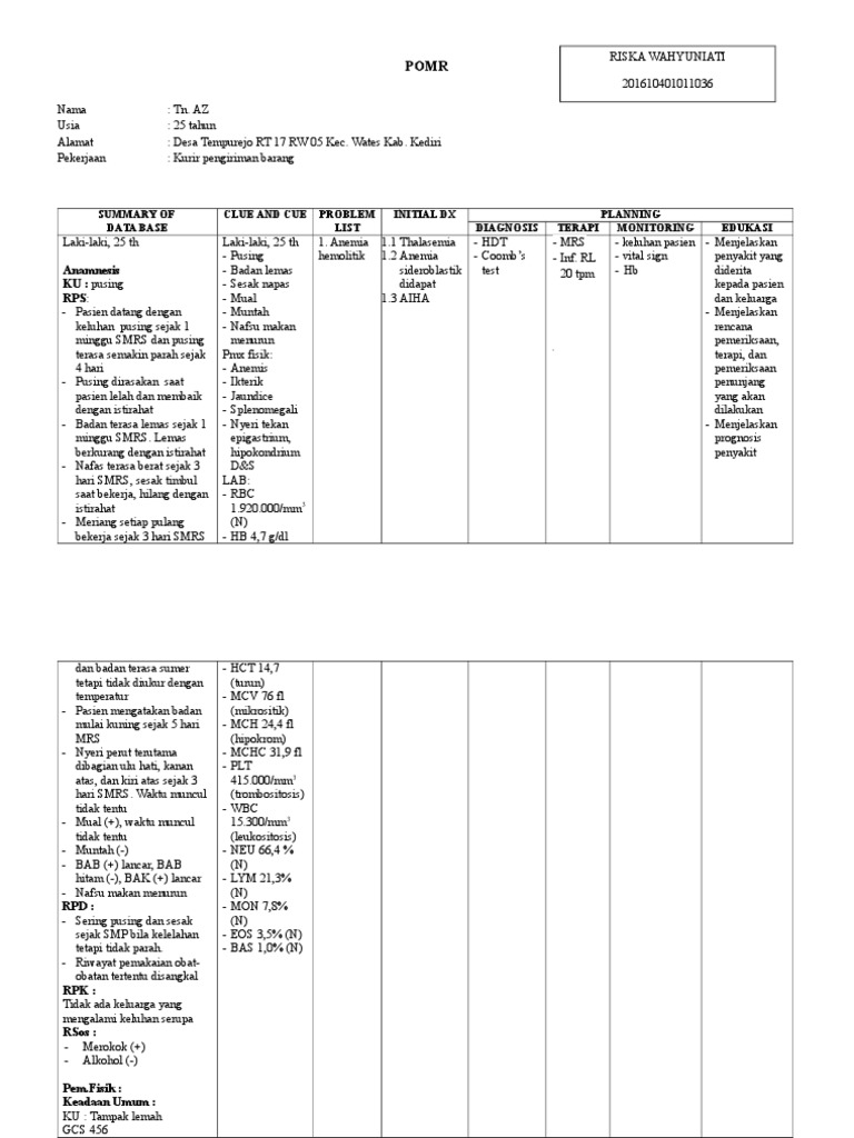 POMR Anemia Hemolitik | PDF