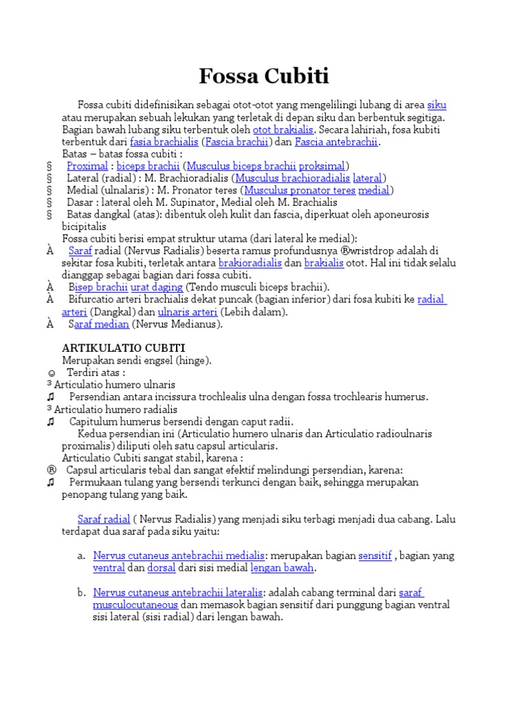 Fossa Cubiti | PDF