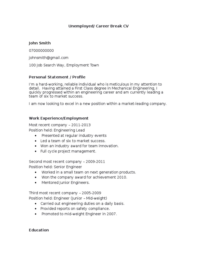 Engineering Career Break CV | PDF | Engineer | Engineering