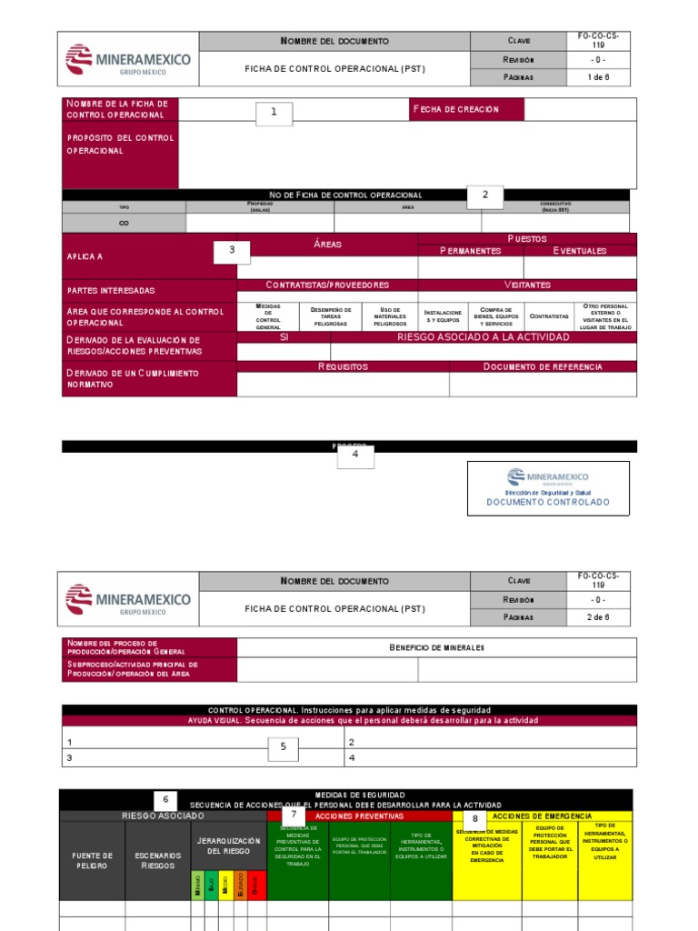 Fo-co-cs-119-Fo Ficha de Control Operacional | PDF | La seguridad ...
