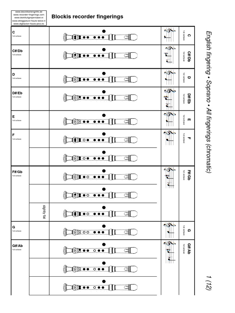 Recorder Notes | PDF | Music Theory | Musical Instruments