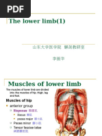 Understanding SIJ: Form and Force Closure | PDF | Pelvis | Vertebral Column