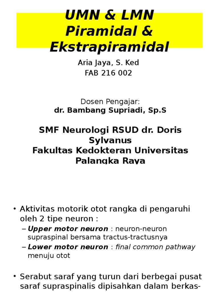 Umn LMN | PDF