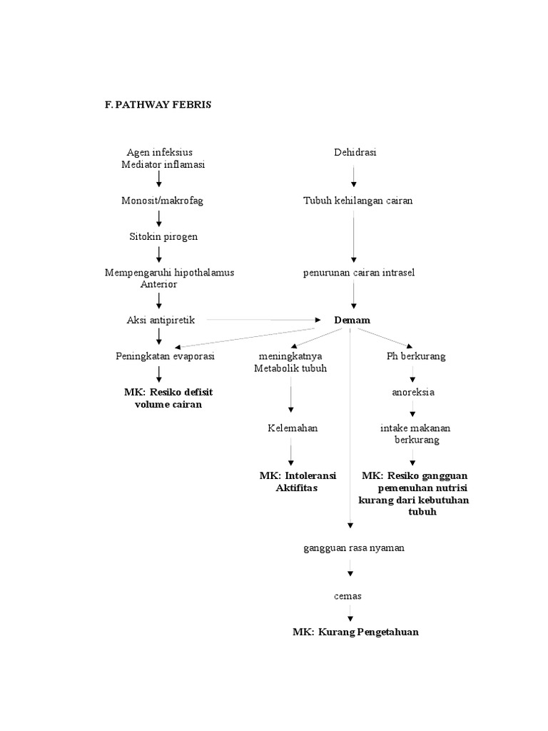 Pathway Febris | PDF