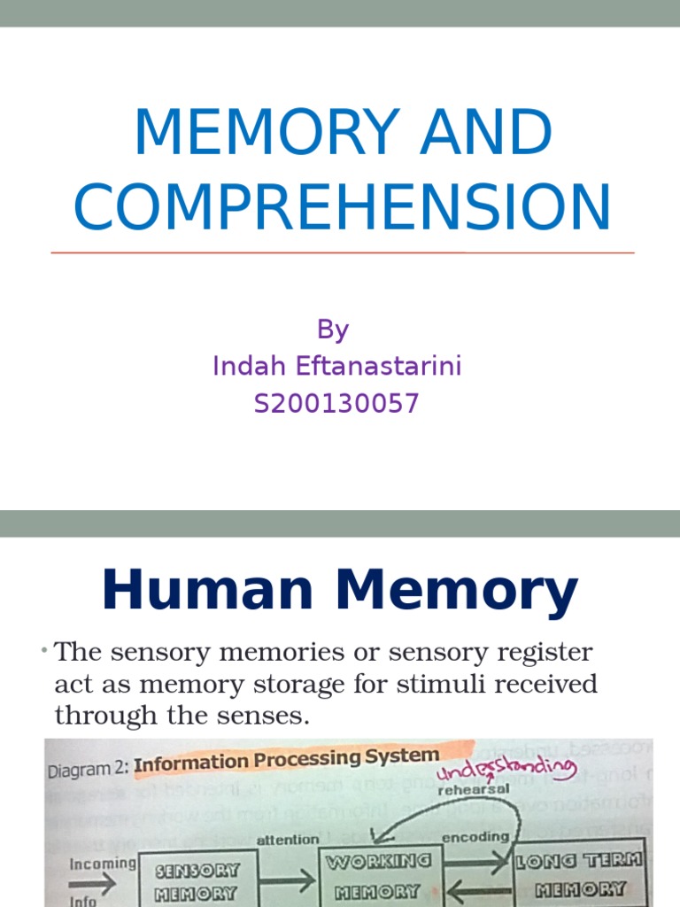 Memory and Comprehension | PDF