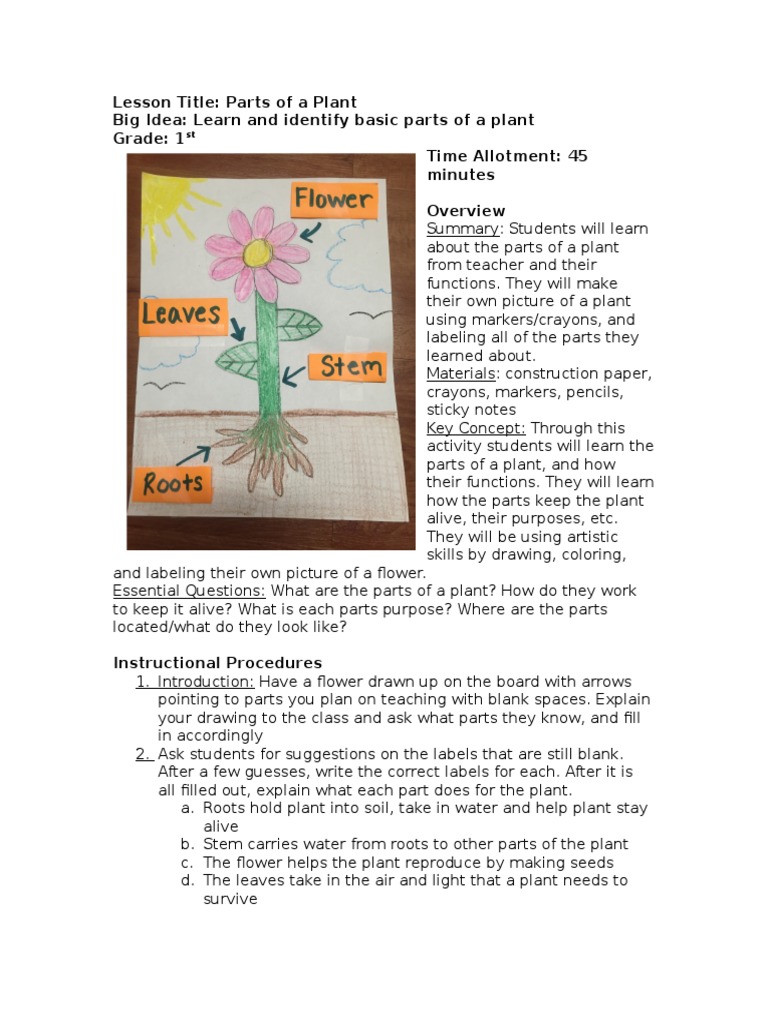 Lesson Title: Parts of A Plant Big Idea: Learn and Identify Basic Parts ...