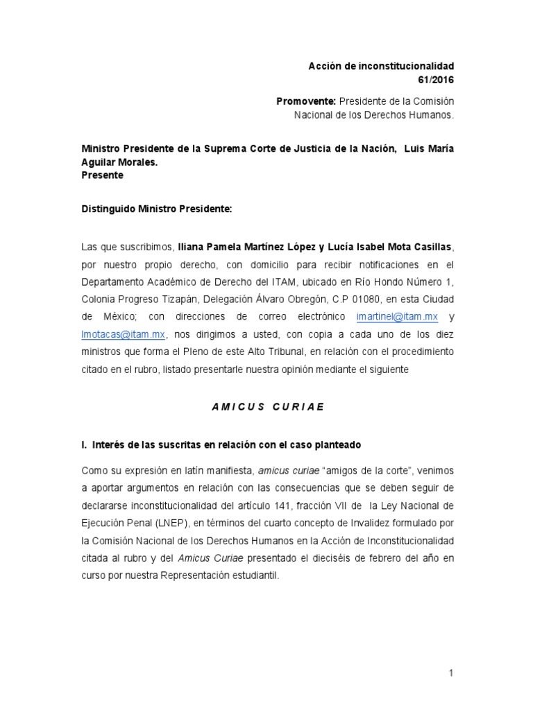 Amicus Curiae | PDF | Pena capital | Derecho penal