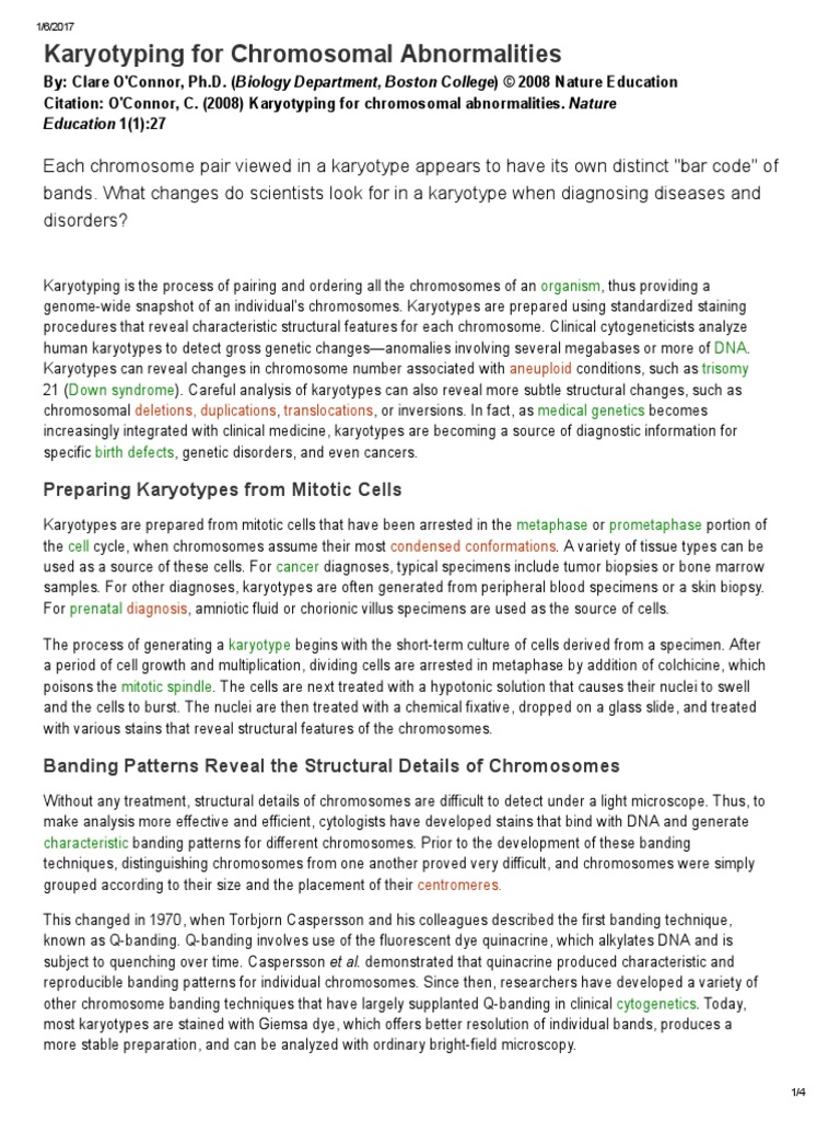 Karyotyping For Chromosomal Abnormalities | PDF | Karyotype | Cytogenetics