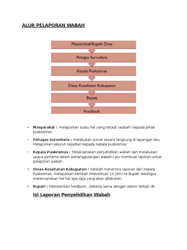 Alur Pelaporan Wabah | PDF