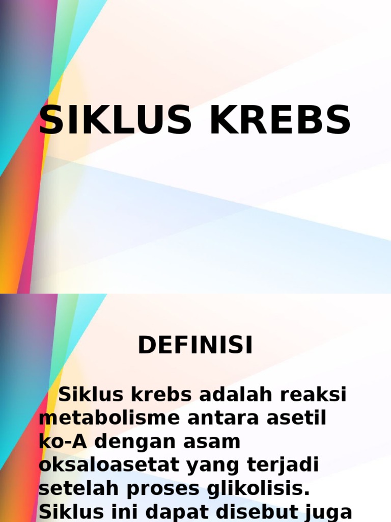 Siklus Krebs | PDF