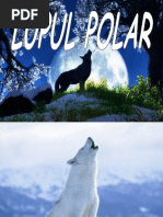 Numarul Si Cifra 2 FISA de LUCRU | PDF