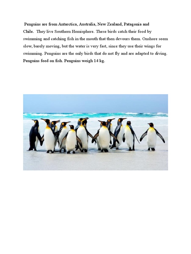 Penguins Are From Antarctica | PDF | Home & Garden