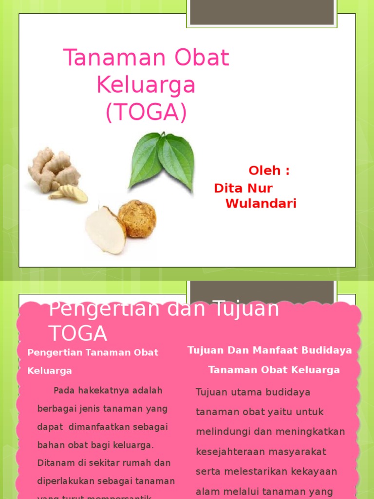 Manfaat dan Contoh Tanaman TOGA | PDF | Kesehatan Holistik | Sains ...
