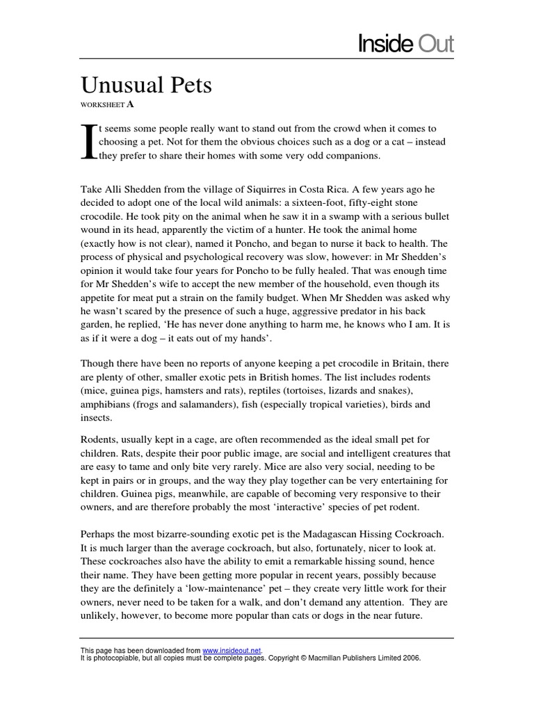 Inside Unusual Pets: Worksheet | PDF | Pet | Rodent