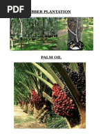 Neelam Color Chart | PDF