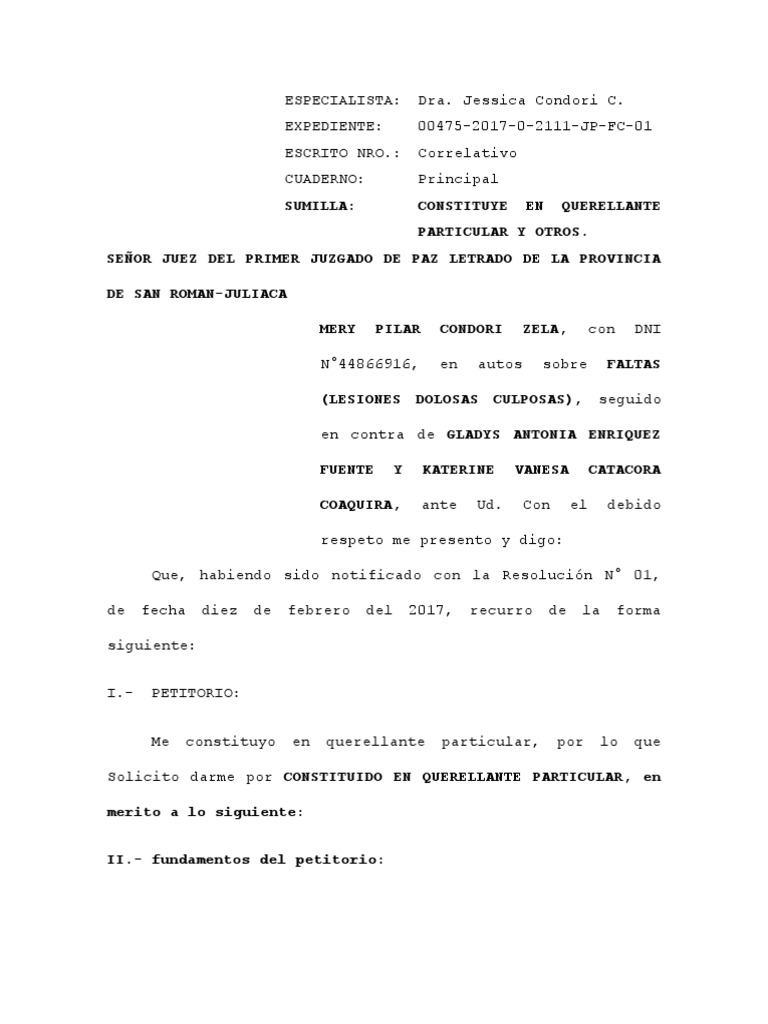 Querellante Particular | PDF | Derecho penal | Mala conducta