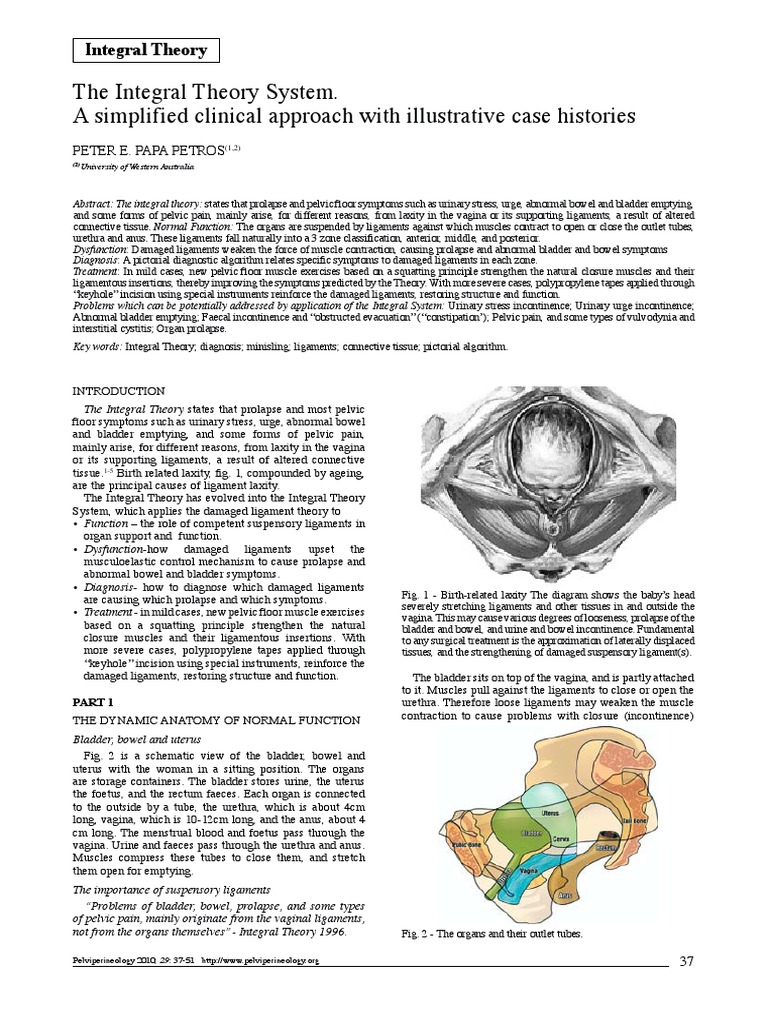 Integral Theory System Simplified Clinical Approach | PDF | Urinary ...