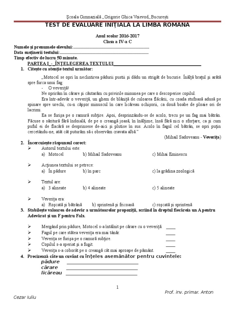 Evaluare Initiala Limba Romana | PDF