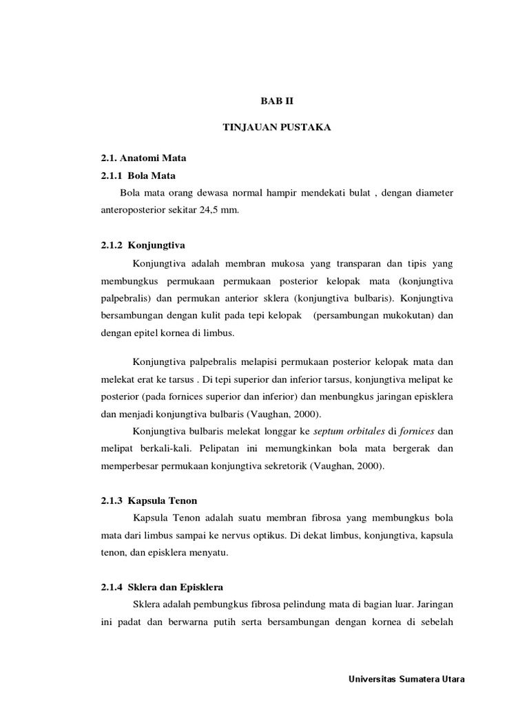 Kapsula Tenon dan Anatomi Mata | PDF | Sains & Matematika