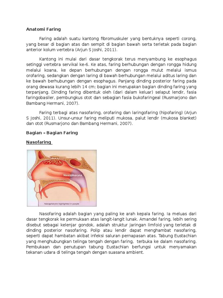 Anatomi Faring | PDF