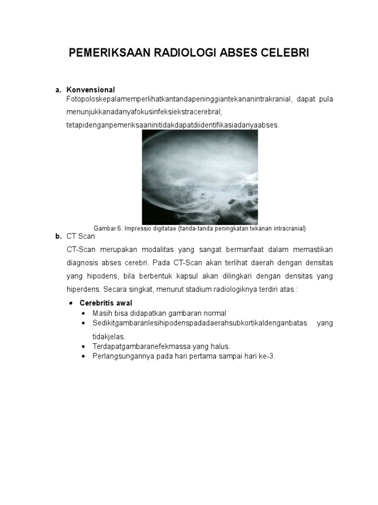 Diagnosa Abses Cerebri dengan CT Scan | PDF