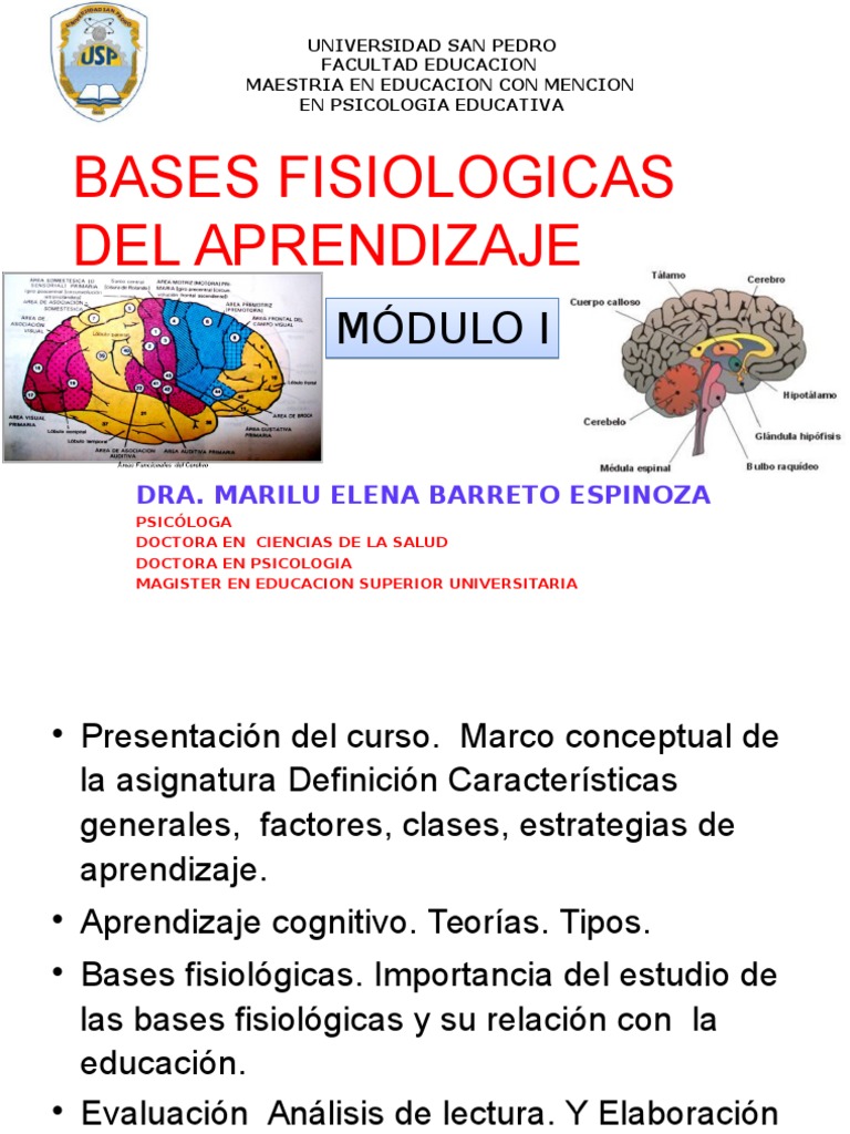 Bases Fisiologicas Del Aprendizaje Modulo i | Aprendizaje | Las emociones