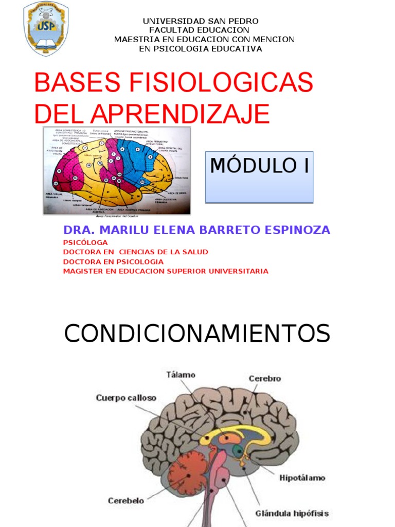 Introducccion Bases Fisiologicas Del Aprendizaje Modulo I | PDF | Sinapsis | Cerebro